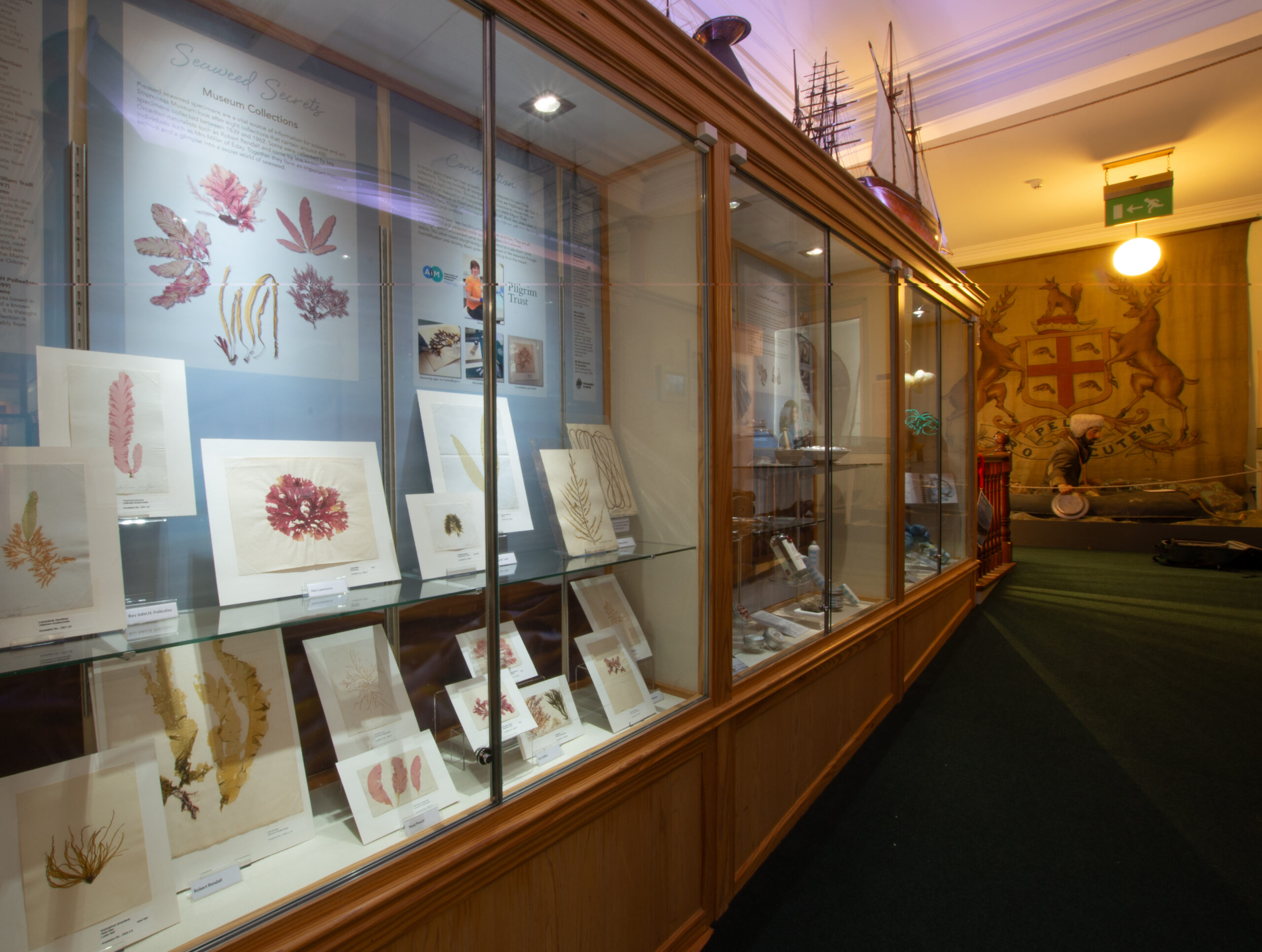 AIM Pilgrim Trust conservation - Stromness Museum - AIM - Association ...